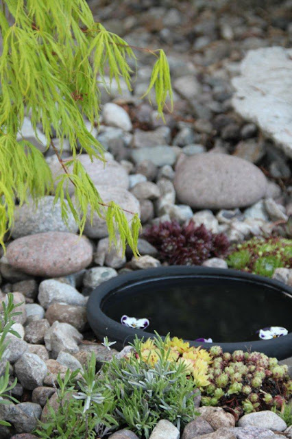 Godastunder & Tokiga Ideèr: Nytt i rabatten....