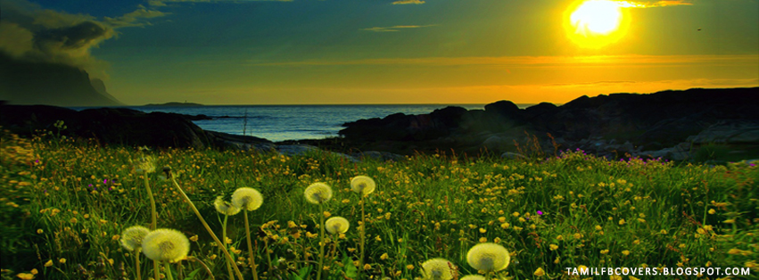 My India FB Covers: Sunshine at the meadow - Nature FB Cover
