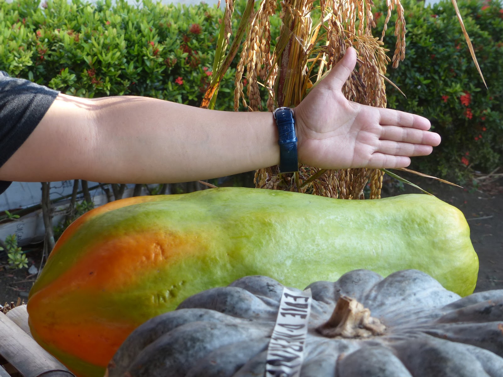 Connecting: Dateline Batanes