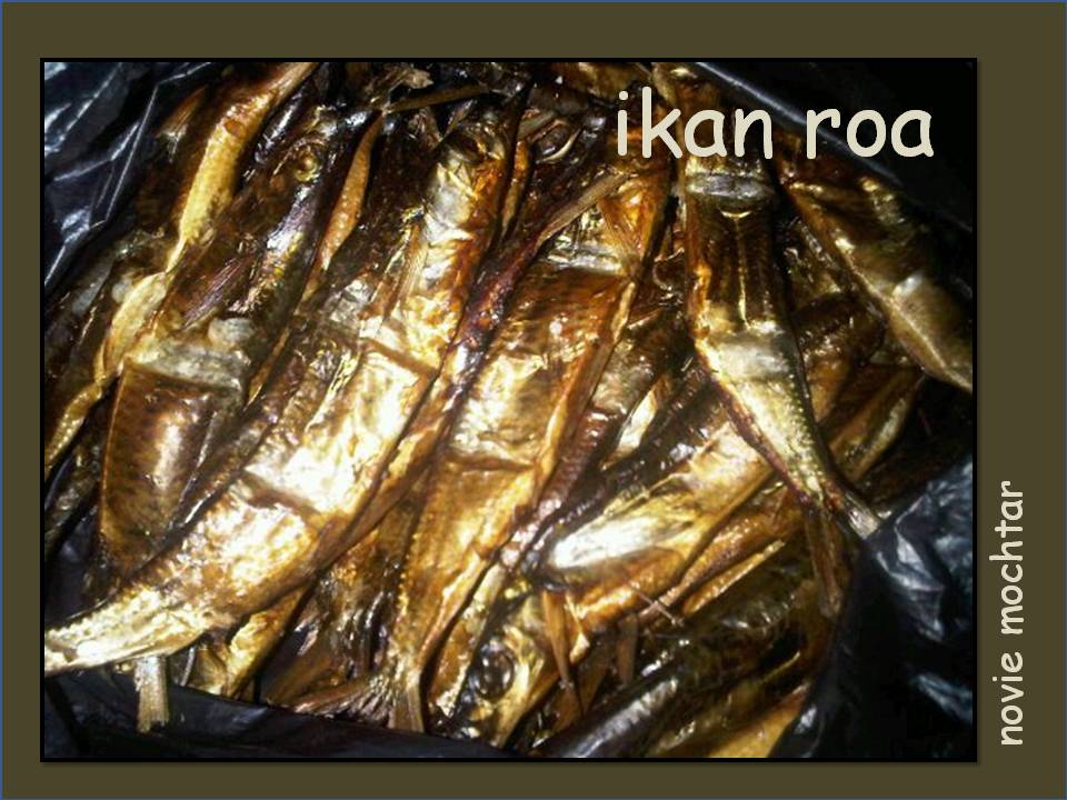 Cozy Home Idea | Home Interior Design Makassar