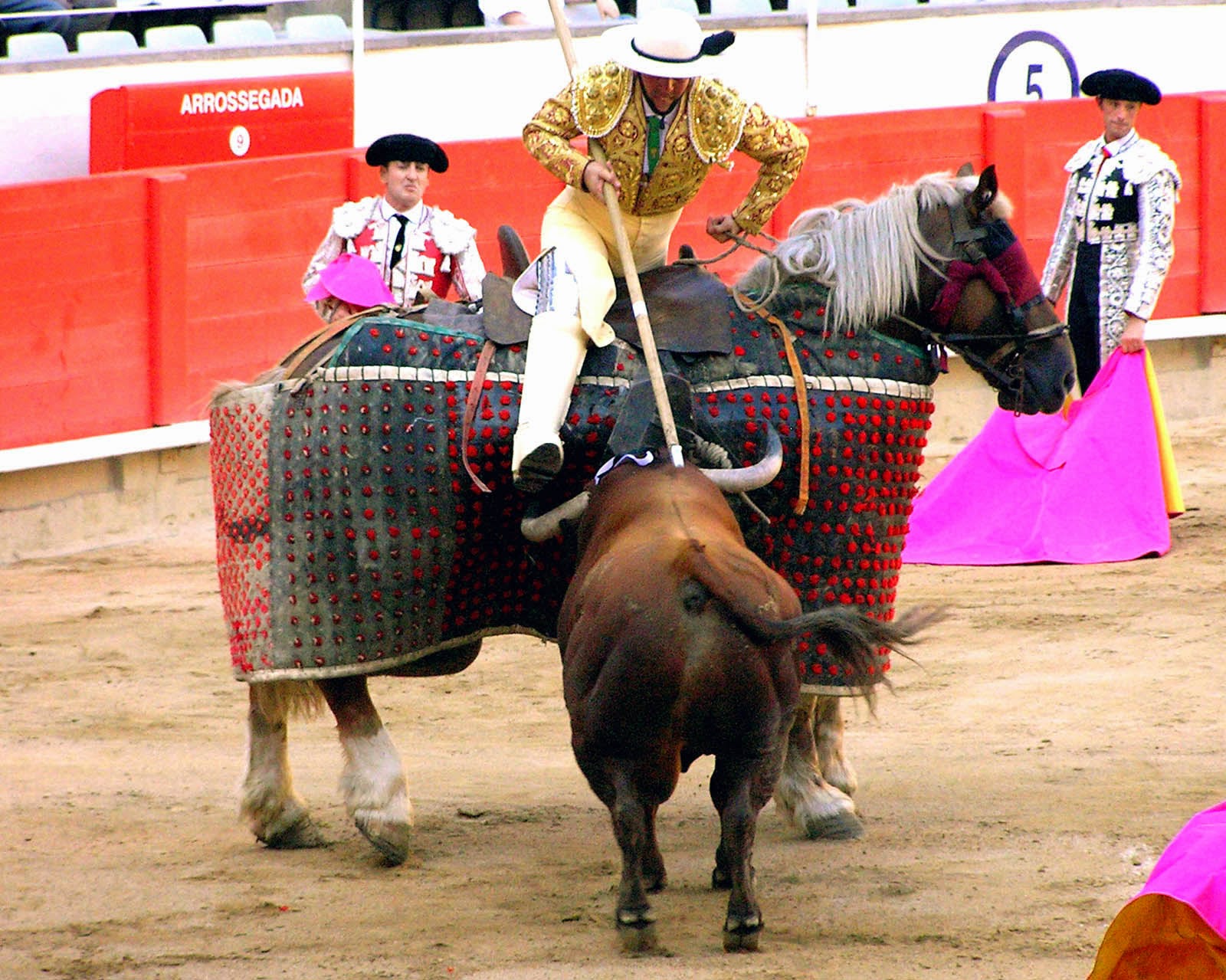 Animal Cruelty: A Ruthless Cultural Sport : Bullfighting