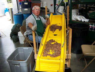 Arbor Day, Arbor Day Farm, Hazelnut Consortium