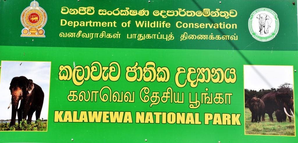 Serendipity: Kalawewa National Park – “Way to go from the get go!”