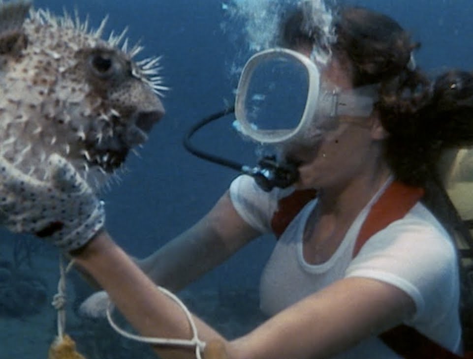 Sunday Matinee: Inspired by The Deep