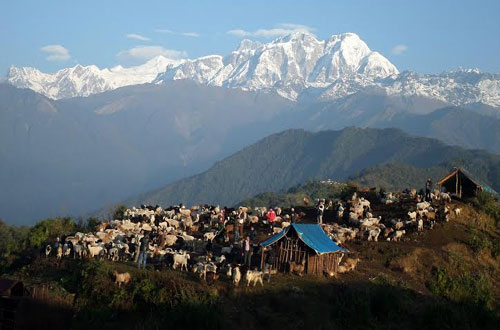 Blogger Bidur : GURUNG HERITAGE TRAIL (.........an oppurtinity to ...