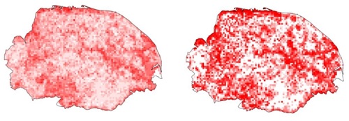 Chris Porter - Norfolk Naturalist Blog: Norfolk Bat Survey in Scarning ...