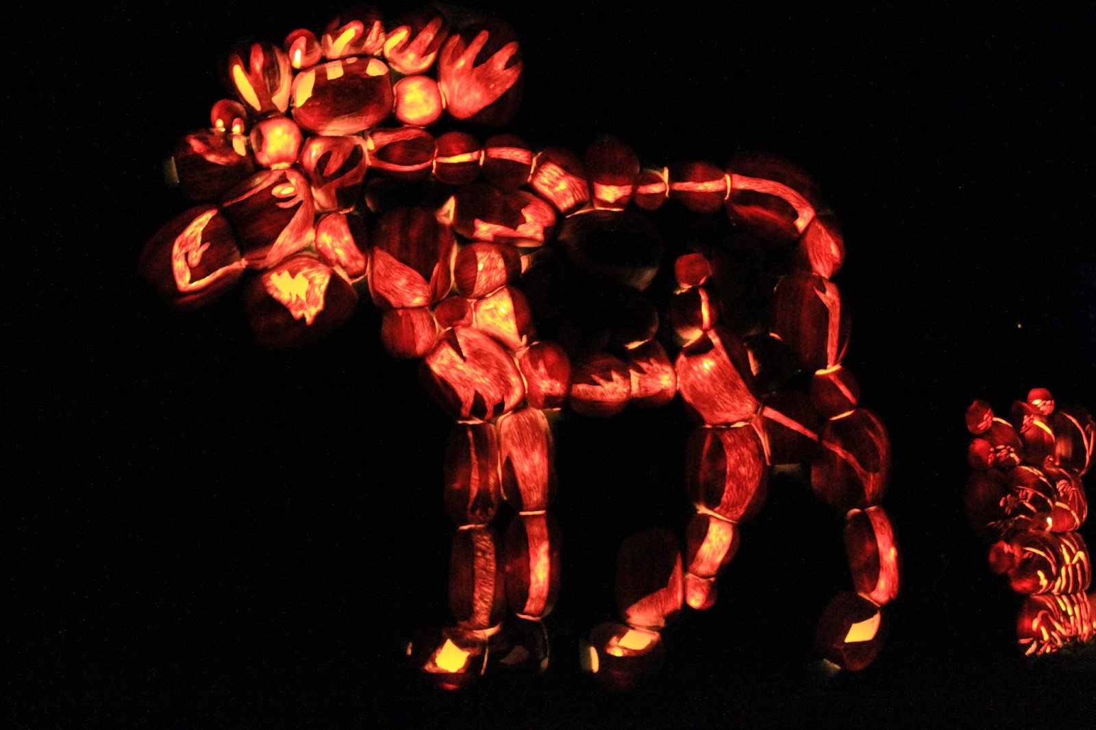 Simpson Eco Farms: Pumpkin Inferno! (^,,,^) Upper Canada Village (^,,,^)