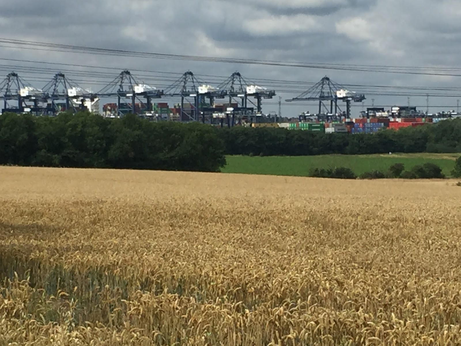 Trinity terminal crane heightening programme Felixstowe