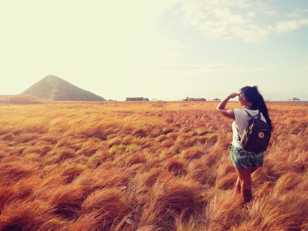 Mengintip Cantiknya Padang Sabana di Pulau Kenawa - THE COLOUR OF INDONESIA