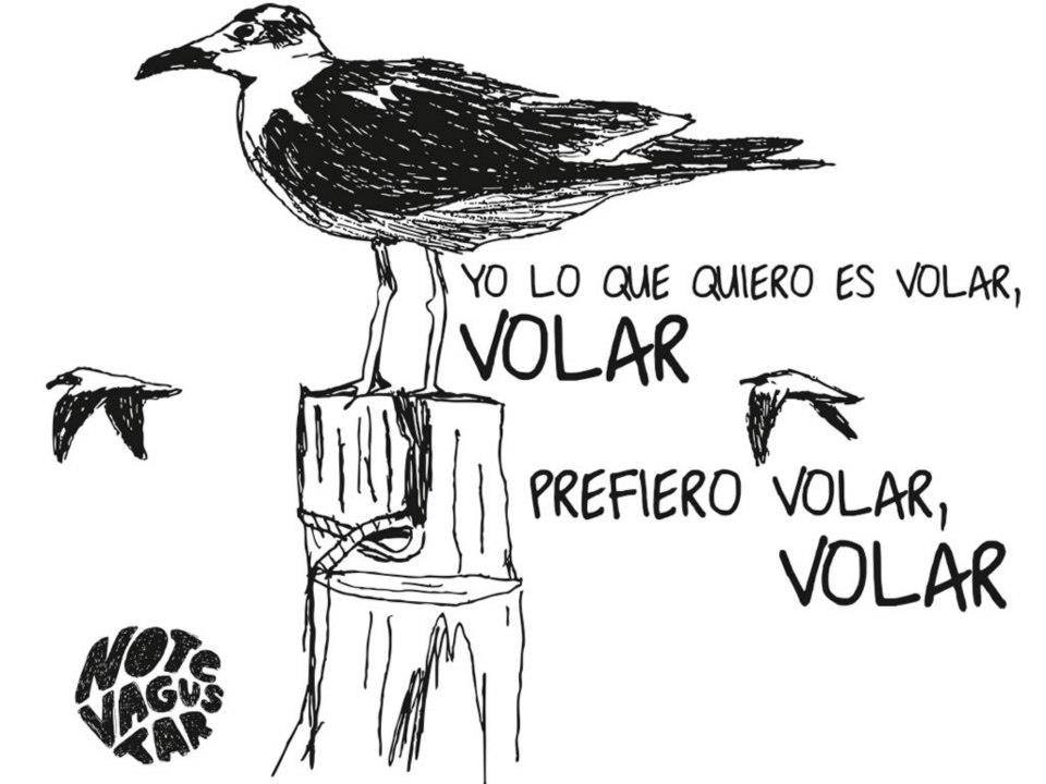 No Te Va Gustar. : Volar prefiero volar ,volar
