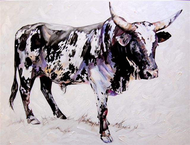 the chronicles of a nomad: the nguni man