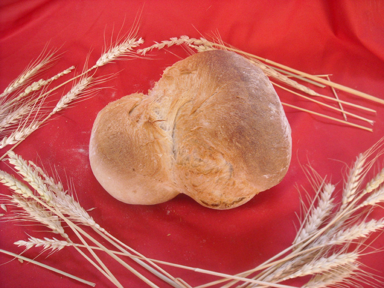 THE SERRANOS: Recetas Serrano