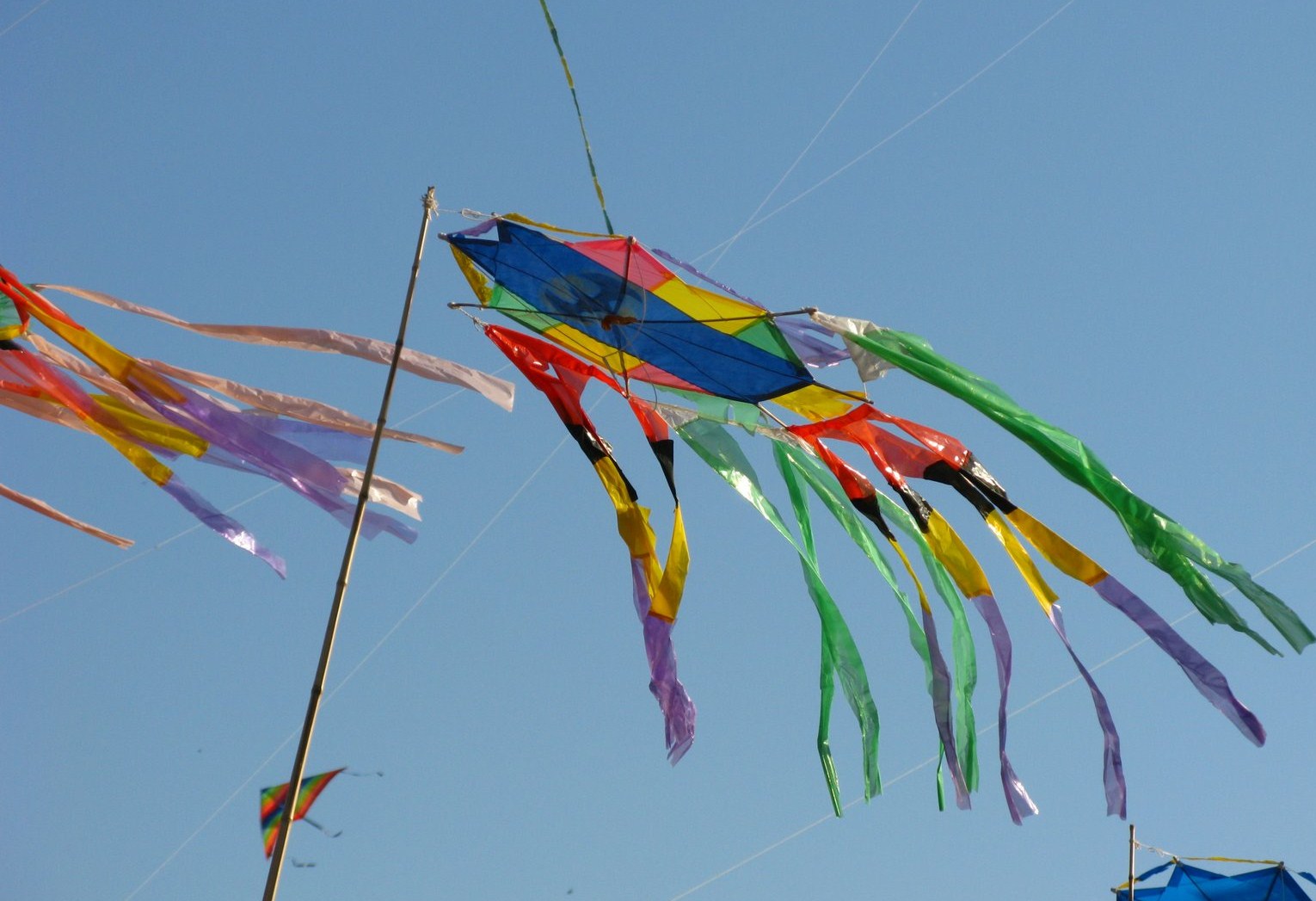 InfoRed2.0: Impulsan Rescate del Barrilete en Tapachula