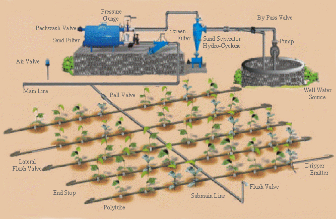 Irrigation for Dummies