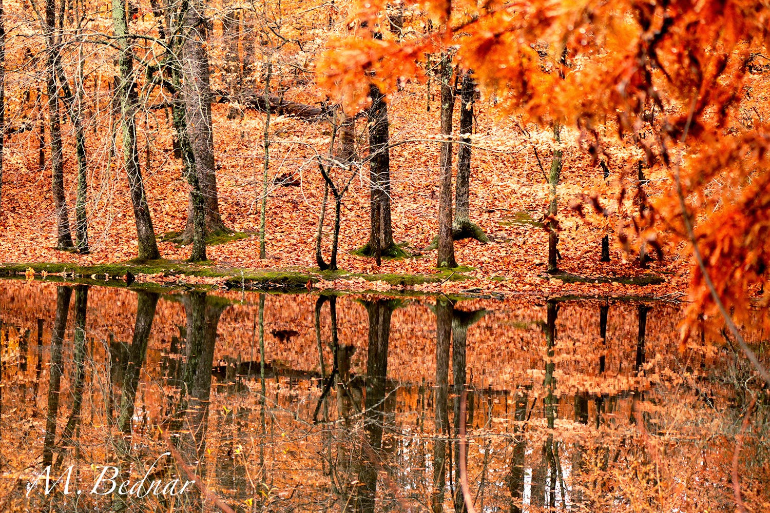 Of Verse Poesy Odes Late Autumn of-verse-poesy-odes-late-autumn