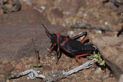 Stories from Blue Hill Escape: Spring into Life