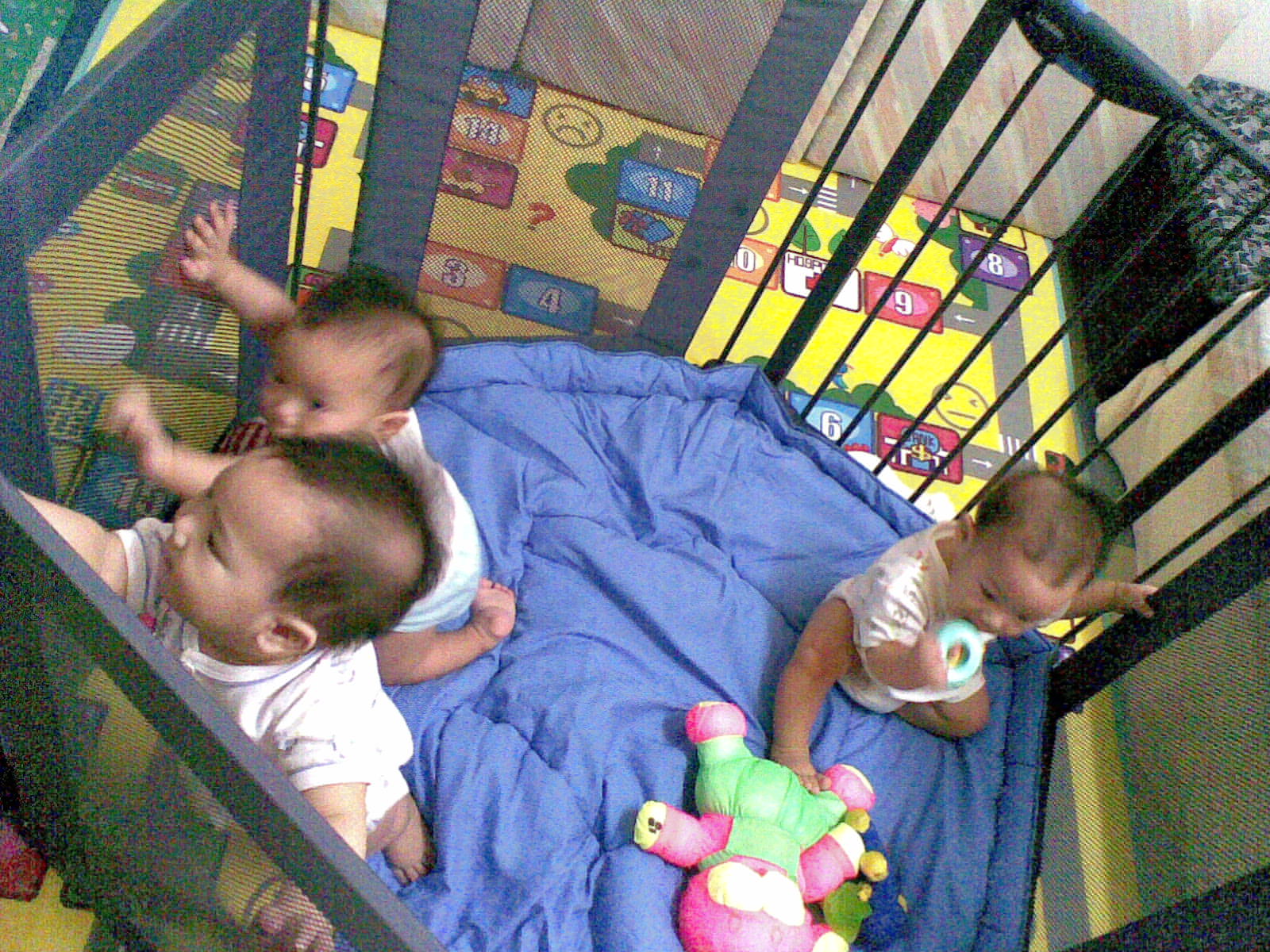Three Little Cubs - Identical Triplets: Playpen for Triplets