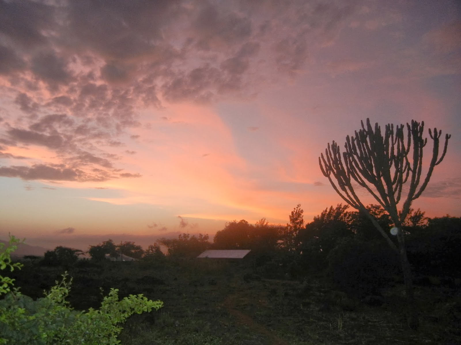 My time in Tanzania: ein unvergesslicher Sonnenaufgang in Himo