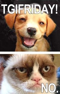 Be Still a Minute...: My Friend Grumpy Cat