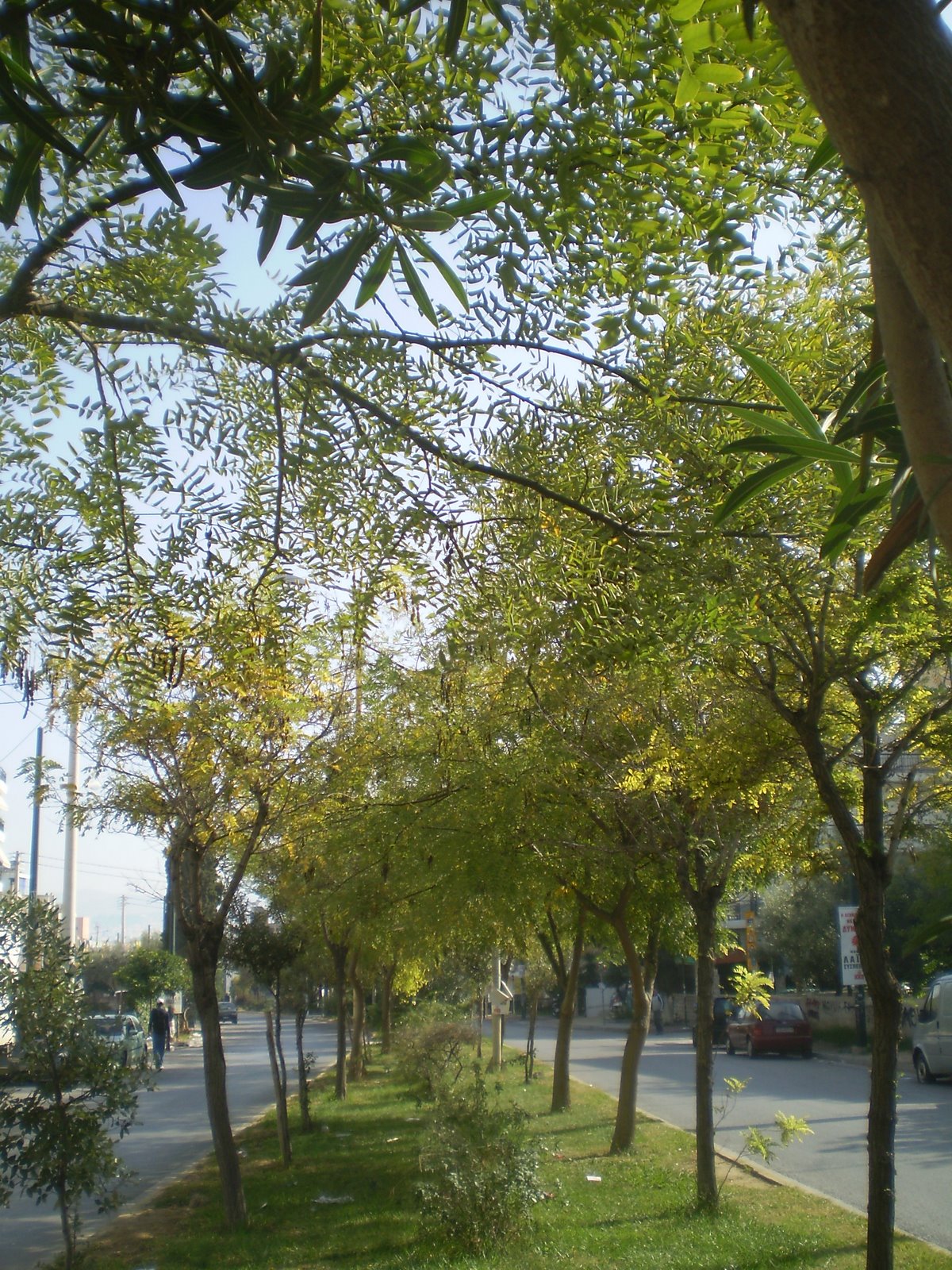 ΕΛΕΥΘΕΡΙΑ--ΡΕΘΥΜΝΟ: ΠΛΑΤΕΙΑ ΠΕΤΡΟΥΠΟΛΗΣ