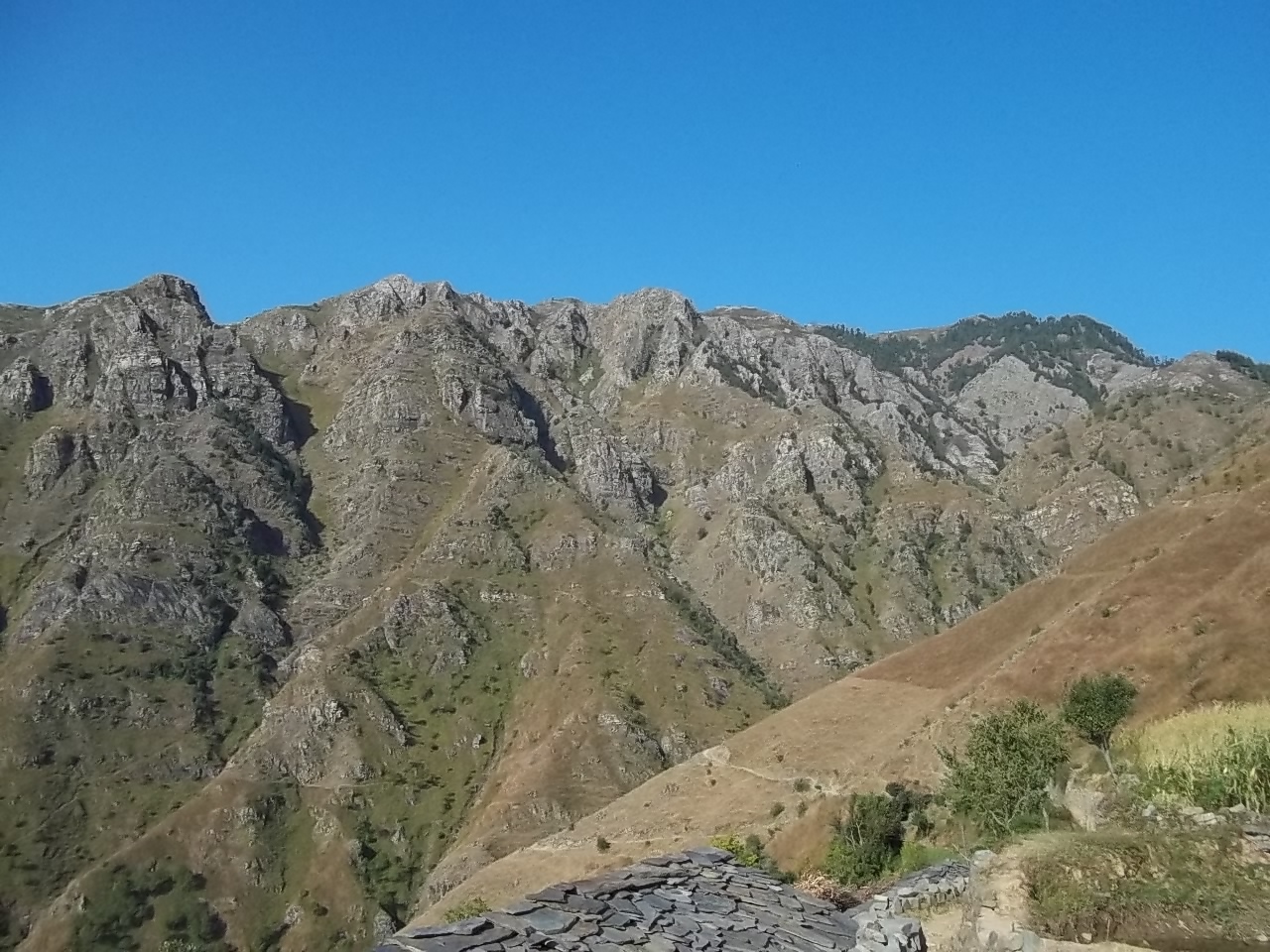 Doc's world: beauty of shillai