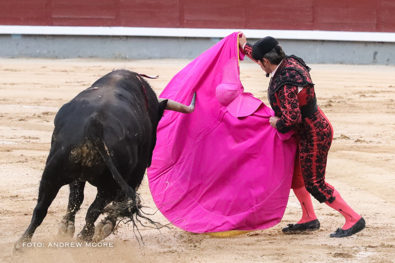 Toro, Torero y Afición: Andrés Revuelta y ángel Otero (Andrew Moore)