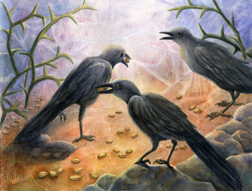 The Parables of Jesus: The Parable of The Sower