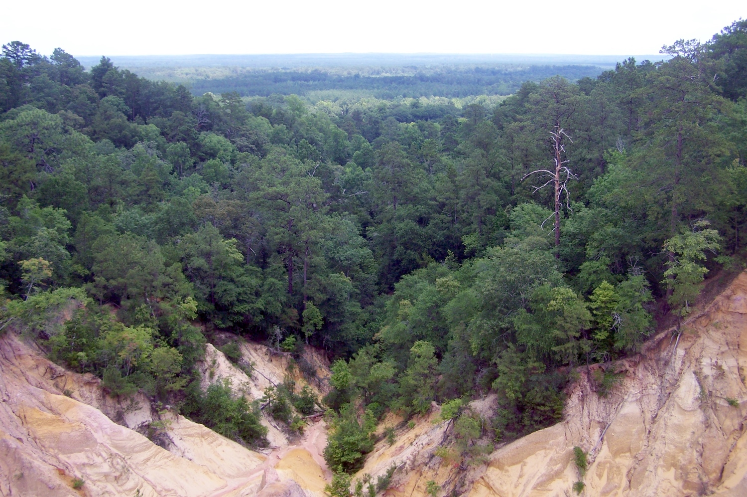 The Barthet Gallery: Red Bluff Scenic Outlook