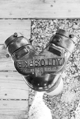 My Cup Overflows: Alphabet Photography