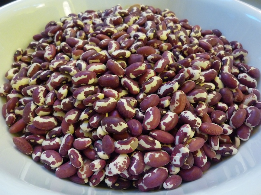 Foods For Long Life: Anasazi Beans With Kombu - How To Make Beans More ...