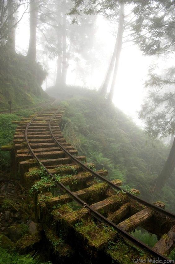 30 Unbelievable Natural Environment Produced By Man´s Hand