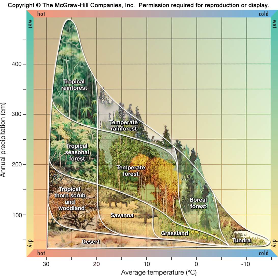 ENVIRONMENTAL BIOLOGY: February 2012