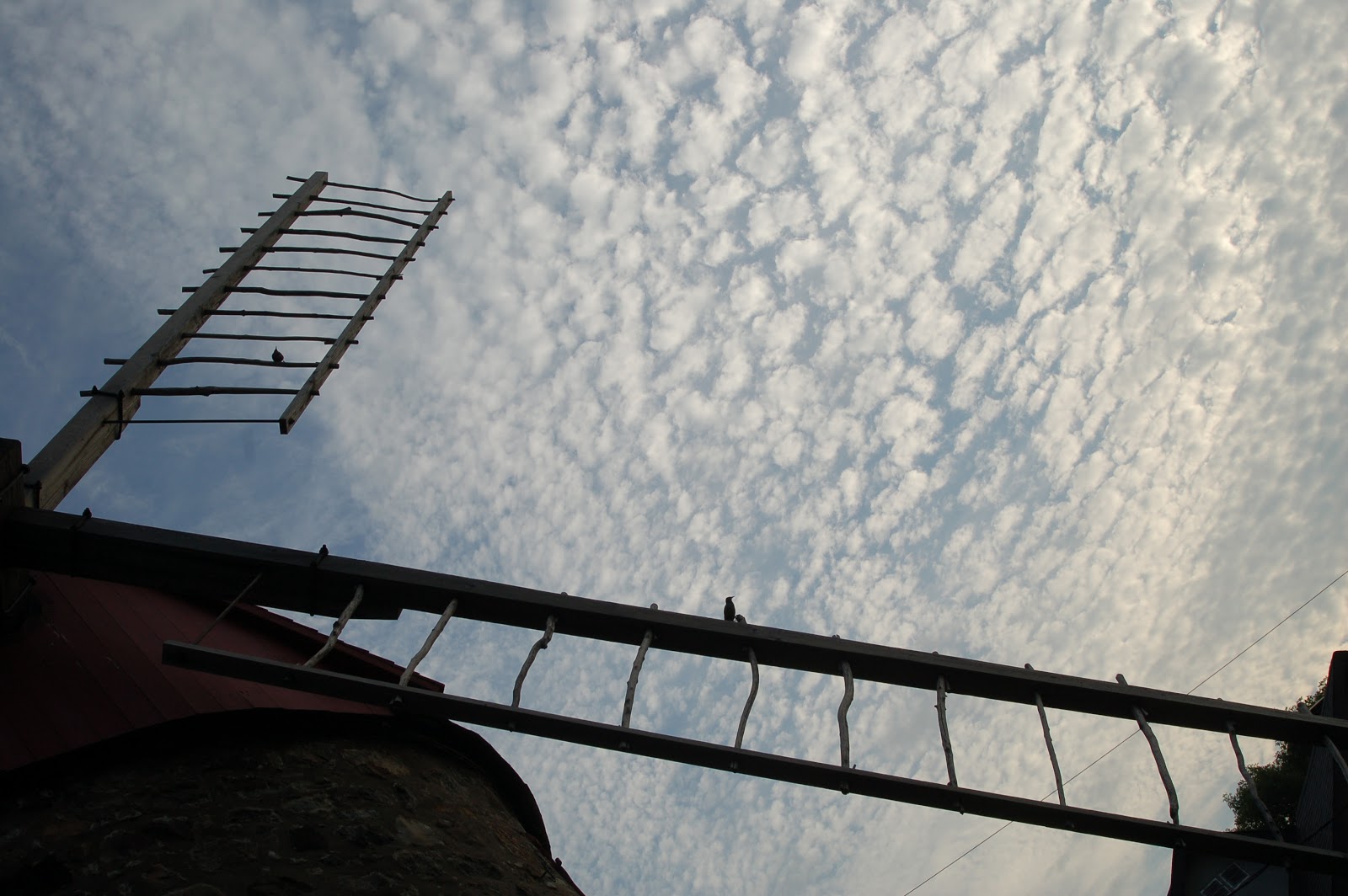 FrancoAmerican Gravy: Family History & Stories from Upstate New York ...