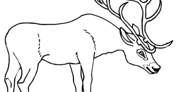 Bunga Raya Vector Gambar rusa hitam putih terbaru - Gambar Bunga