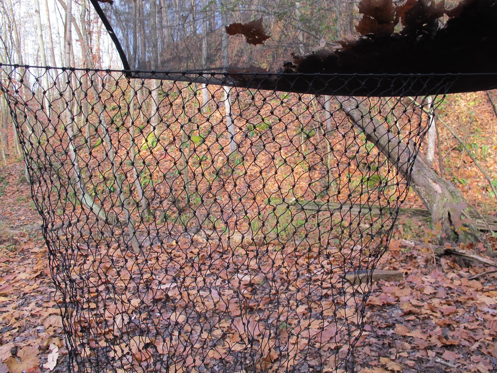 Woodland Wisdom: Survival Trapping