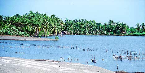 Detalles de Guatemala: SUCHITEPEQUEZ