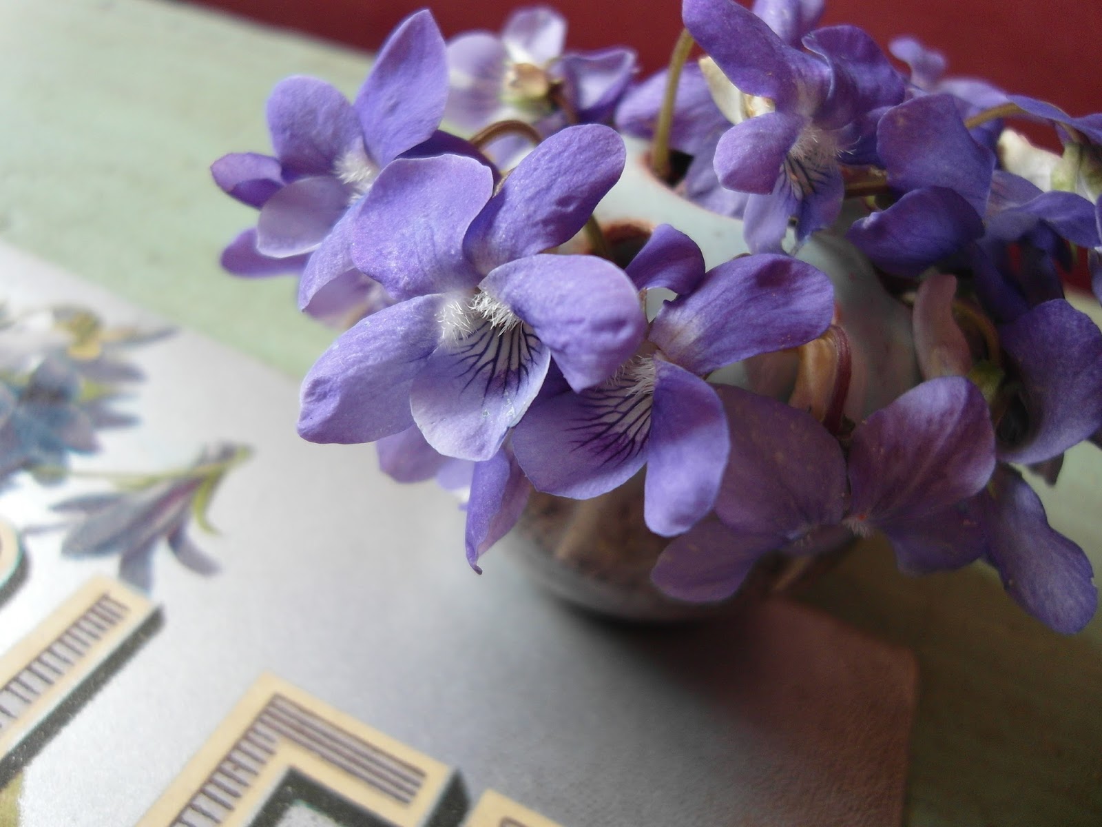 Niki Fretwell: Violet