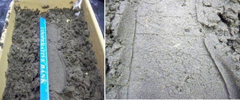 Forensics: Footprint Analysis
