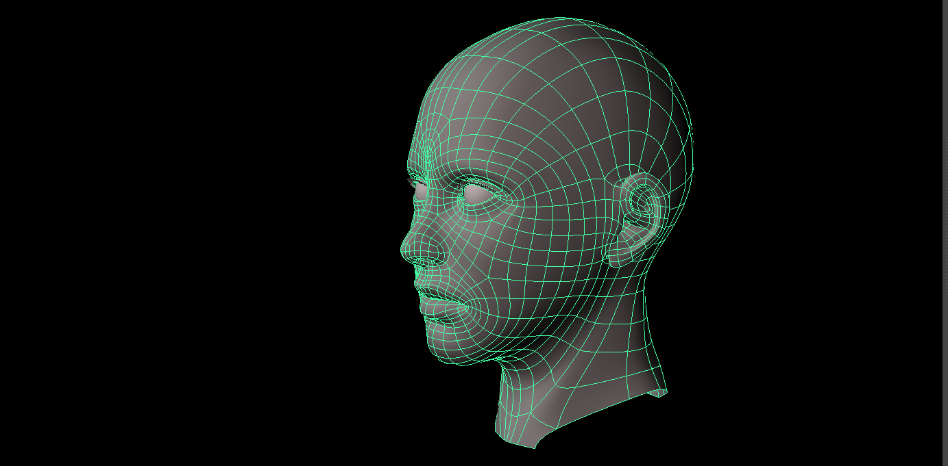 Andrew Nisbets 3D Blog: Female Head with Wireframes