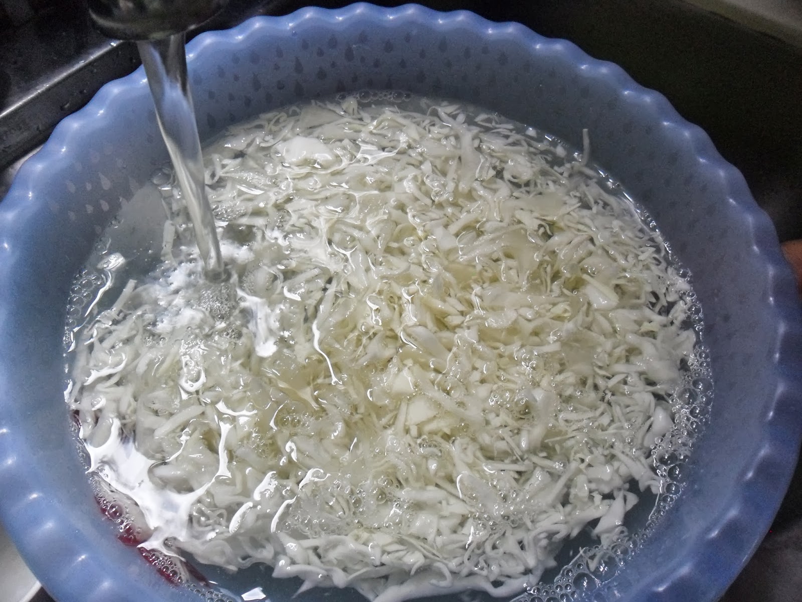 En la Cocina de la Tia Clacla: Ensalada de Repollo o Col Blanco