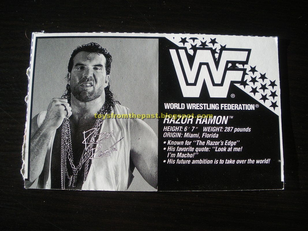 Toys from the Past: #680 HASBRO´S WWF - OWEN HART, RAZOR RAMON v1 and ...