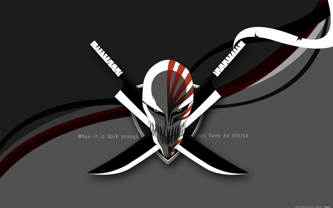 Bleach Pirate's Flag - Bleach Wallpaper | Anime Wallpapers