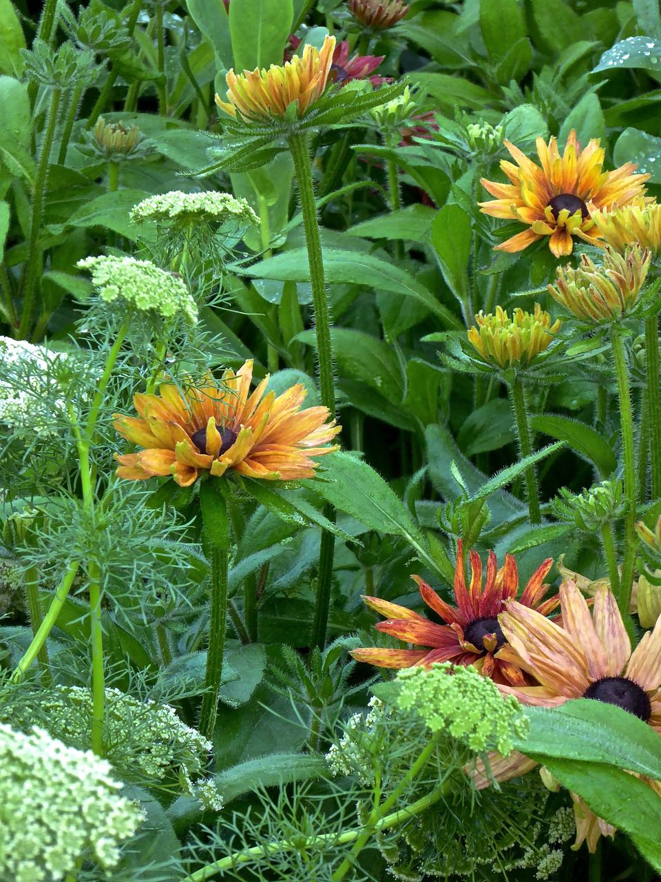 Grand Tour - Perch Hill