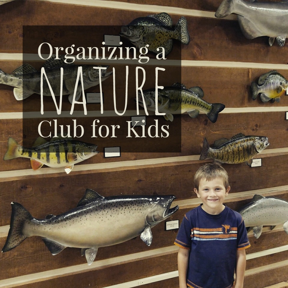 The Unlikely Homeschool: Organizing a Nature Club