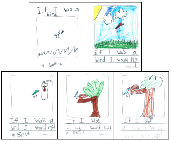 A Place Called Kindergarten: NONFICTION WRITING IN KINDERGARTEN