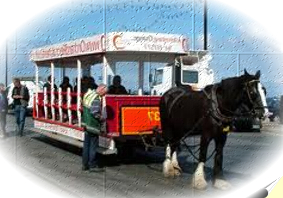 7 means of transport using animal power - Public Transport