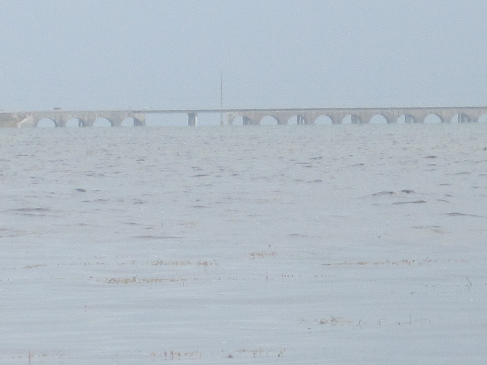 Dave's Yak Tales: No Name Key