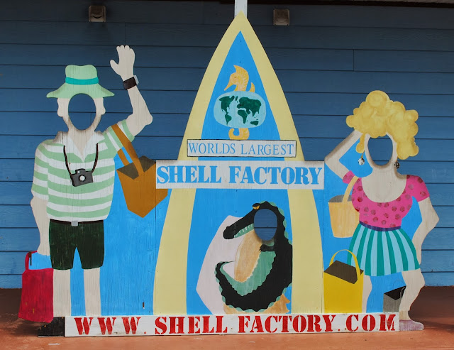 The Carpetbagger: The Shell Factory