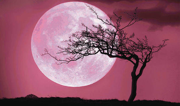The Wiccan Life: Pink Full Moon tonight!