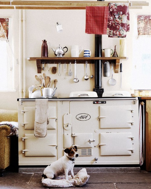 Content in a Cottage: English Country Kitchen with Aga + Dog